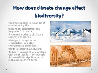 8.wild life and impacts of climate change on wildlife | PPT