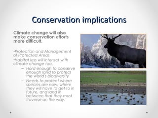 8.wild life and impacts of climate change on wildlife | PPT