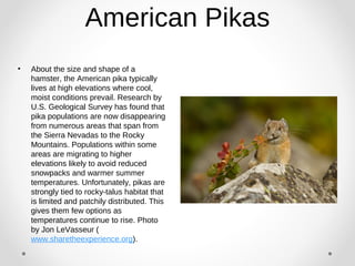 8.wild life and impacts of climate change on wildlife | PPT