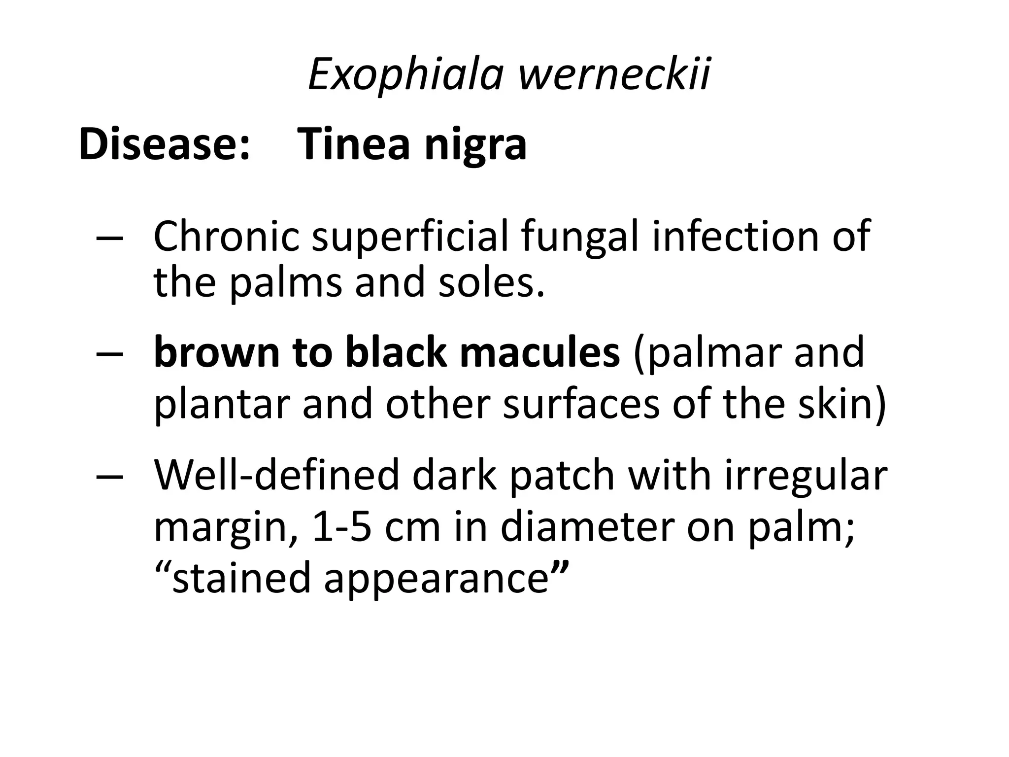 Superficial Mycoses | PPTX | Skin and Dermatology | Diseases and Conditions
