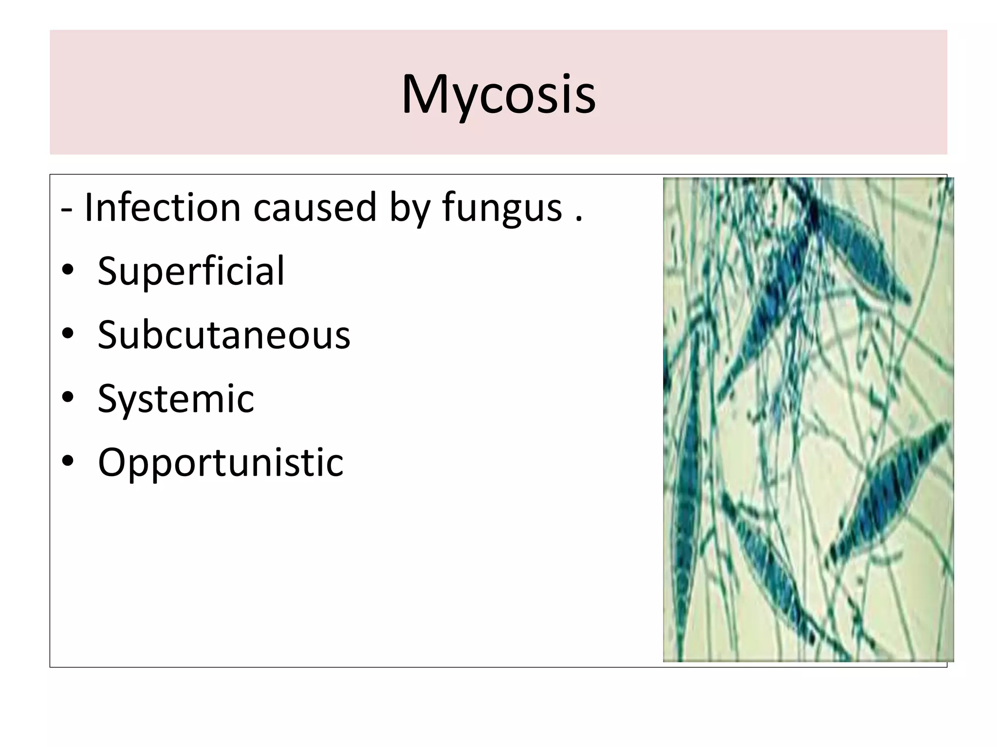 Superficial Mycoses | PPTX | Skin and Dermatology | Diseases and Conditions
