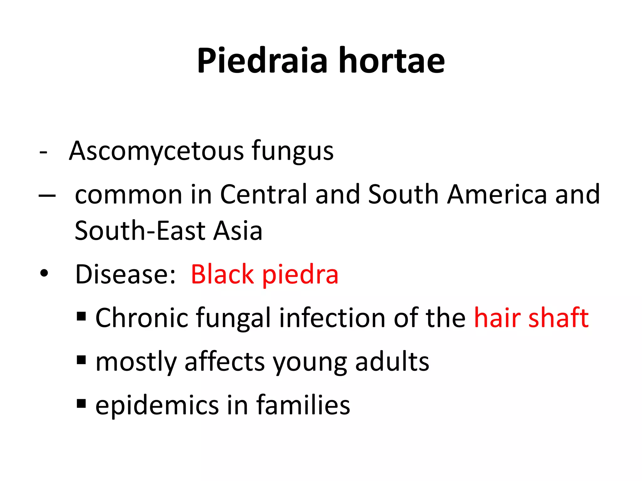 Superficial Mycoses | PPTX | Skin and Dermatology | Diseases and Conditions