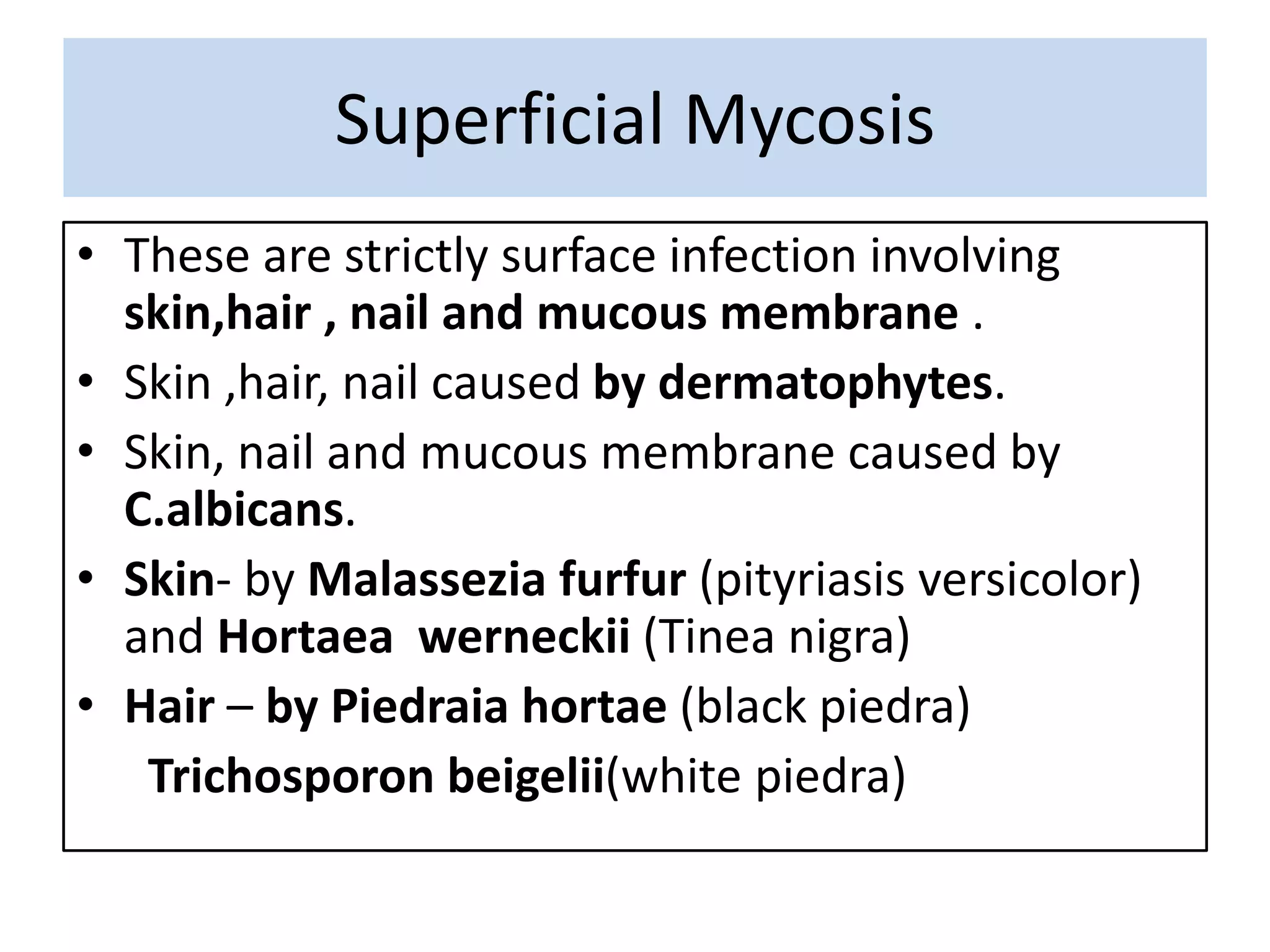 Superficial Mycoses | PPTX