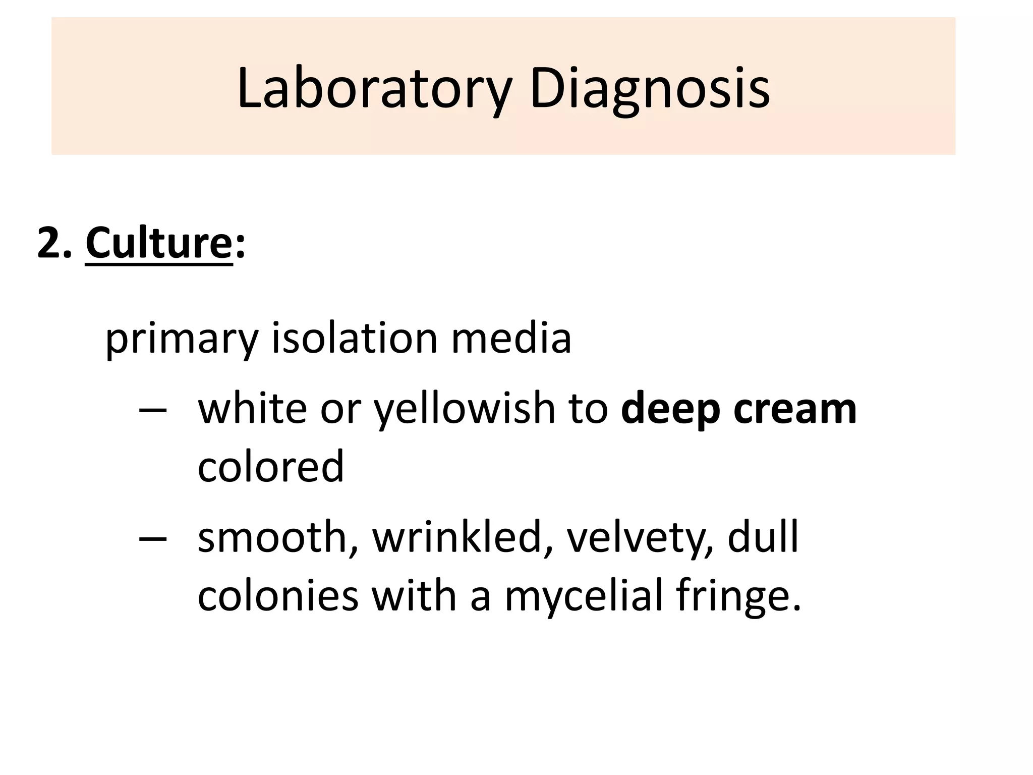 Superficial Mycoses | PPTX | Skin and Dermatology | Diseases and Conditions