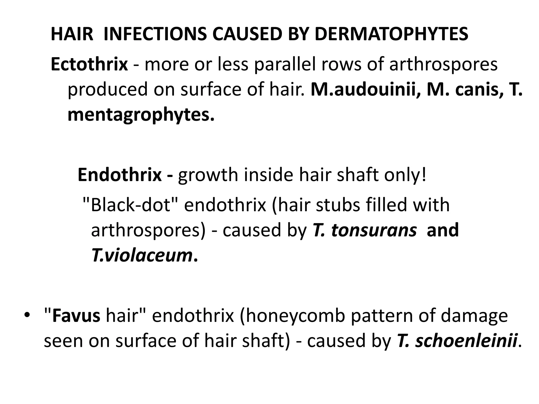 Superficial Mycoses | PPTX | Skin and Dermatology | Diseases and Conditions