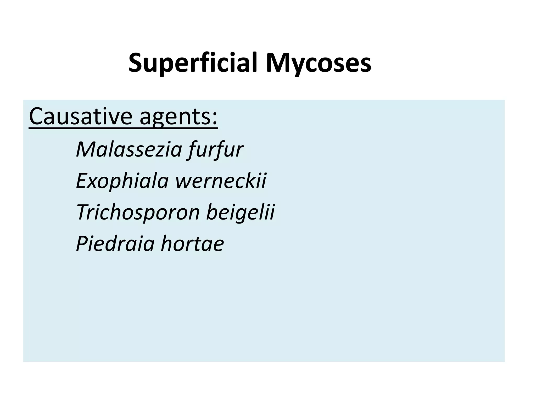 Superficial Mycoses | PPTX