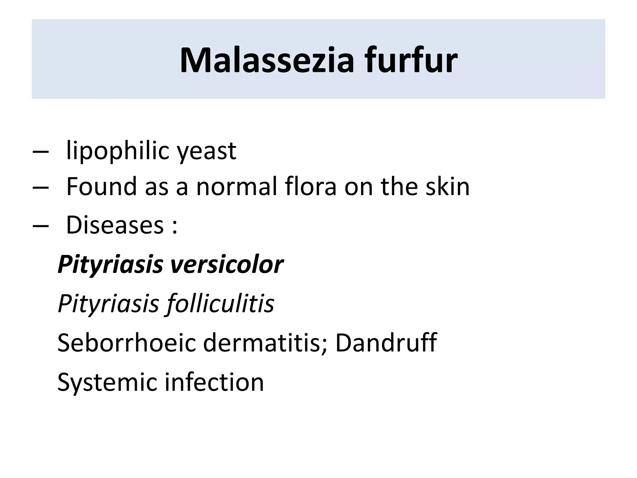 Superficial Mycoses | PPTX | Skin and Dermatology | Diseases and Conditions