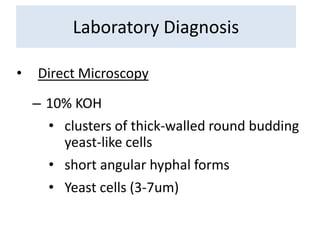 Superficial Mycoses | PPTX