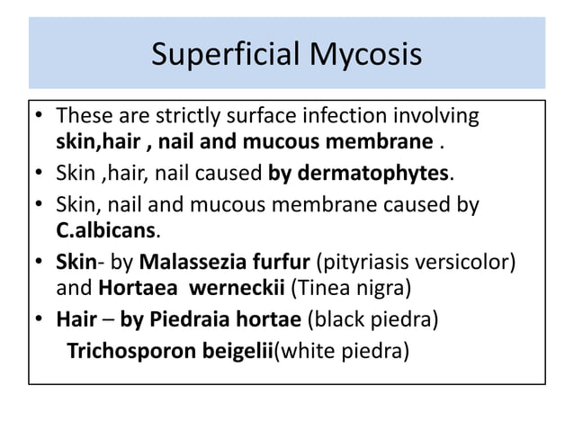 Superficial Mycoses | PPTX | Skin and Dermatology | Diseases and Conditions