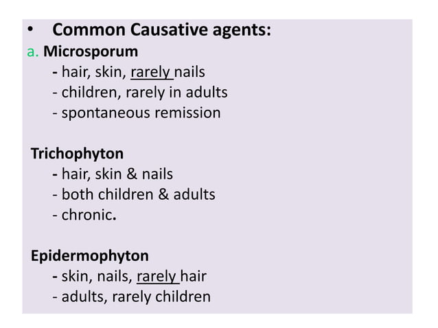 Superficial Mycoses | PPTX | Skin and Dermatology | Diseases and Conditions
