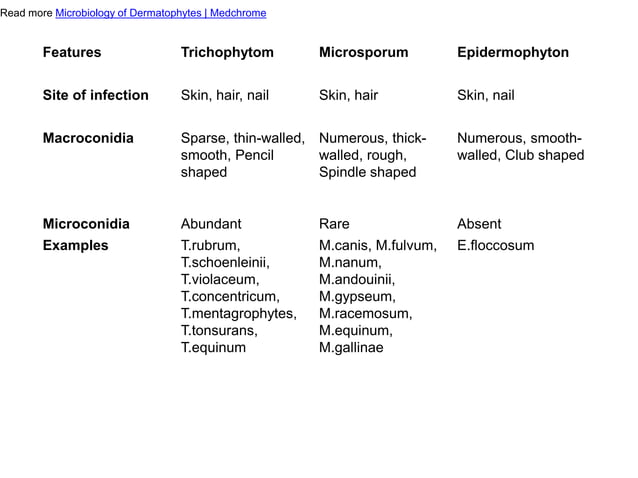Superficial Mycoses | PPTX | Skin and Dermatology | Diseases and Conditions
