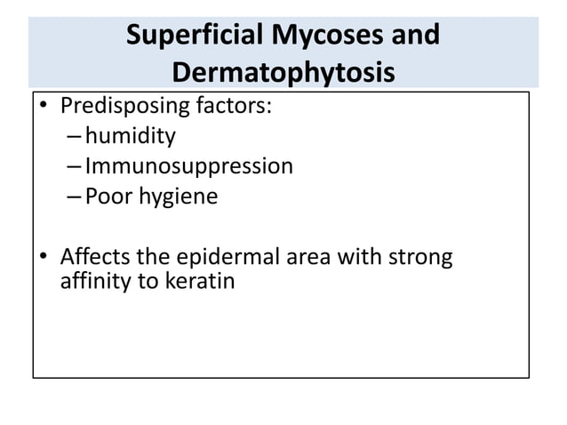 Superficial Mycoses | PPTX | Skin and Dermatology | Diseases and Conditions