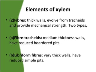 Xylem | PPT