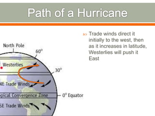 Air and Sea Interactions Notes | PPT