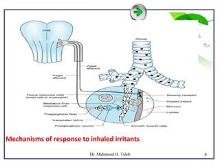 8.‫‫drugs affecting on respiratory system | PPT