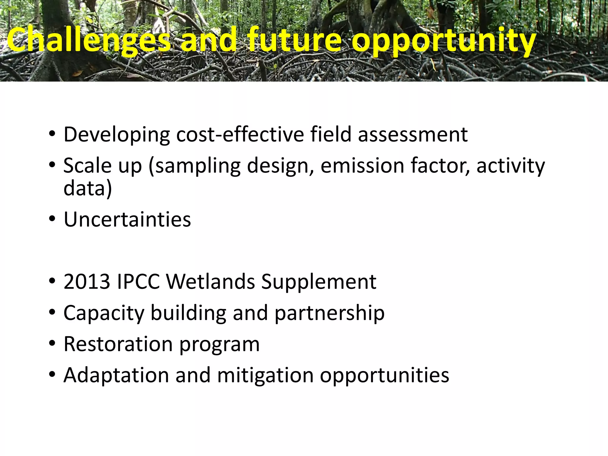 Mangrove blue carbon assessments and lessons from the field | PDF