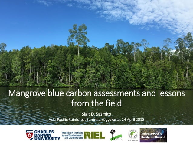 Mangrove blue carbon assessments and lessons from the field | PDF