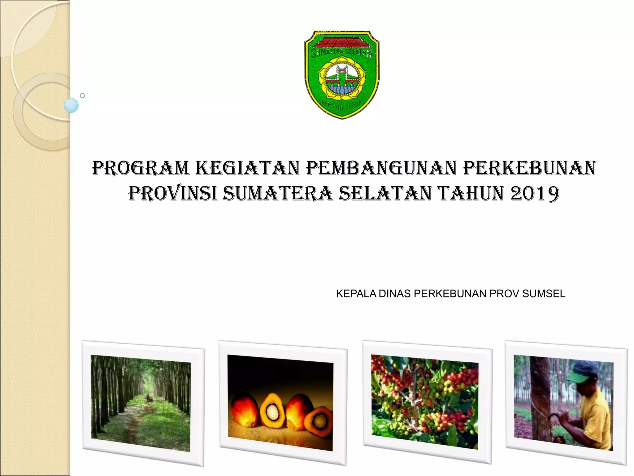 8. dinas perkebunan sumsel bhn paparan progrm dan kegiatan 2019 (1) | PDF