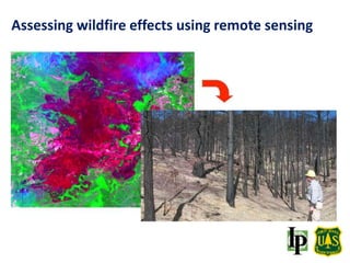 8. wildfire | PPT