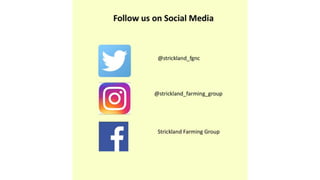 Reggie Strickland: Strickland Farming | PPT