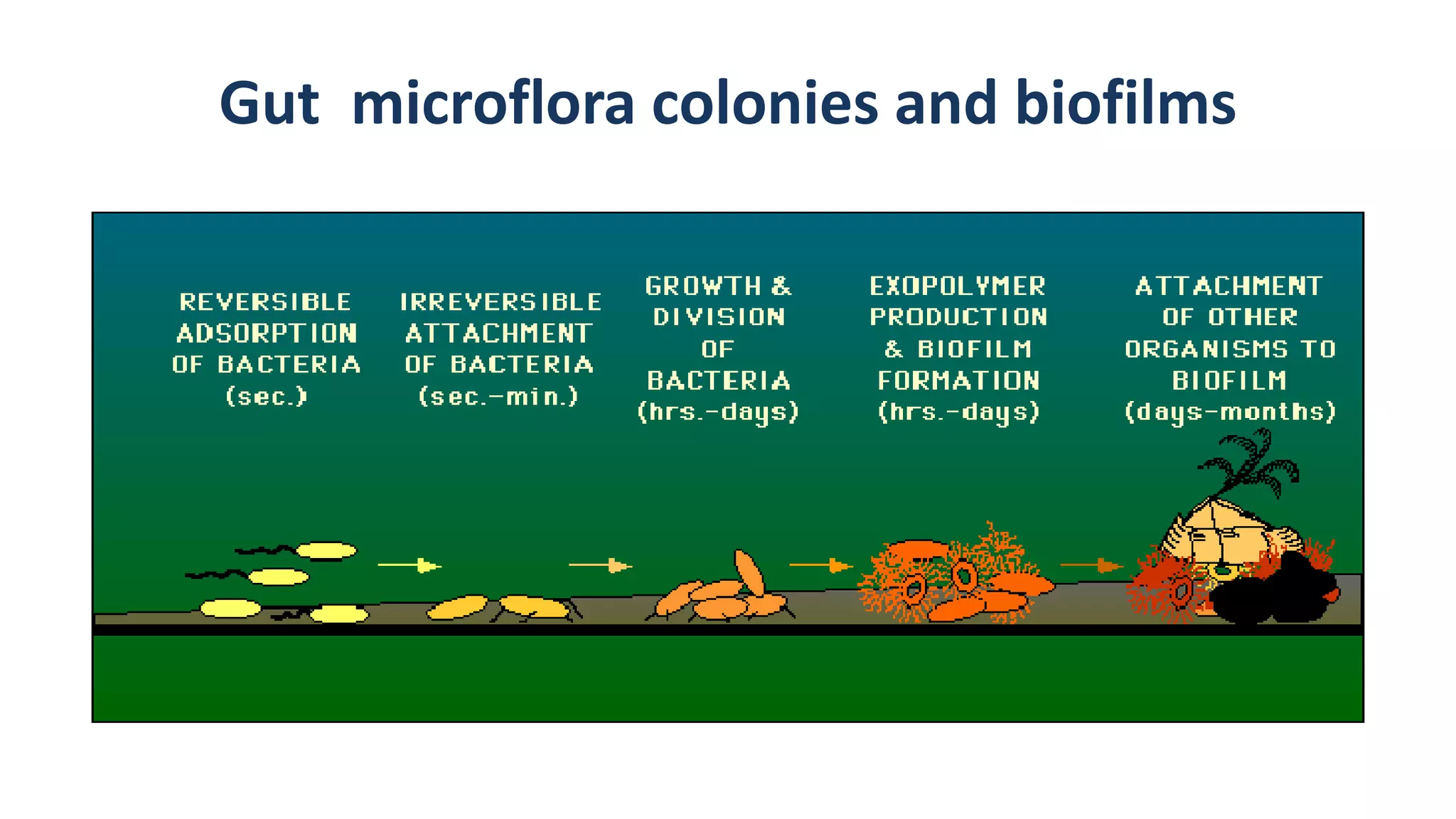 8. Thursday Presentations dr david cadogan feedworks - scientifically ...