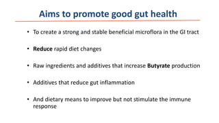 8. Thursday Presentations dr david cadogan feedworks - scientifically ...