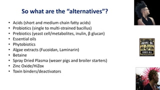8. Thursday Presentations dr david cadogan feedworks - scientifically ...