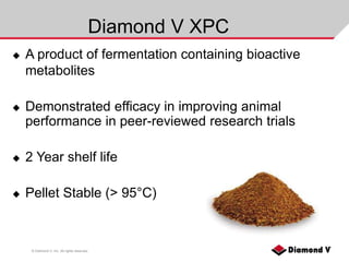 8. Friday Monogastric Sessions ms faith wakibia diamond v - commercial ...