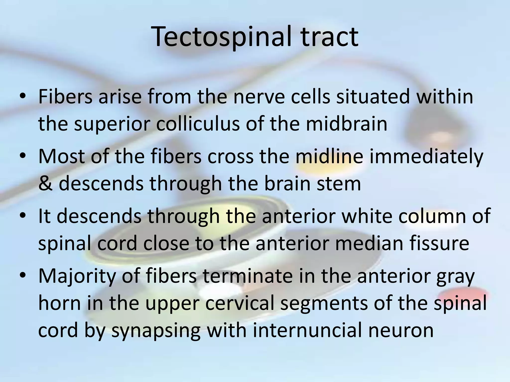 Spinal cord & its tracts II (Descending tracts) | PPTX