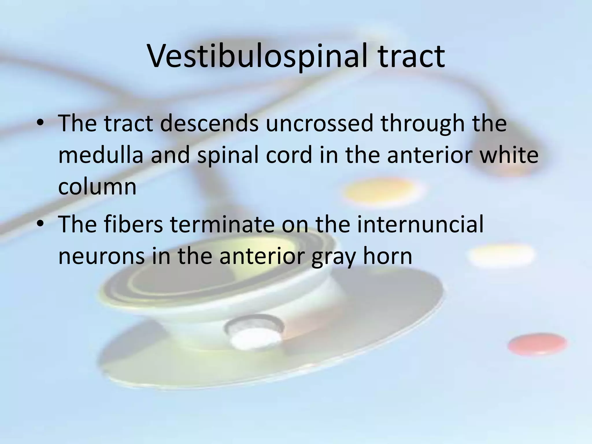 Spinal cord & its tracts II (Descending tracts) | PPTX