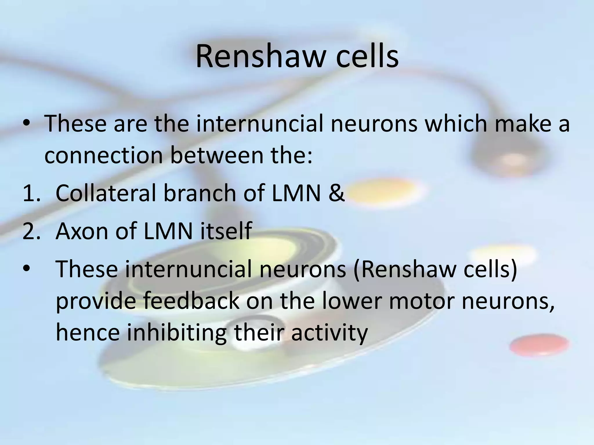 Spinal cord & its tracts II (Descending tracts) | PPTX