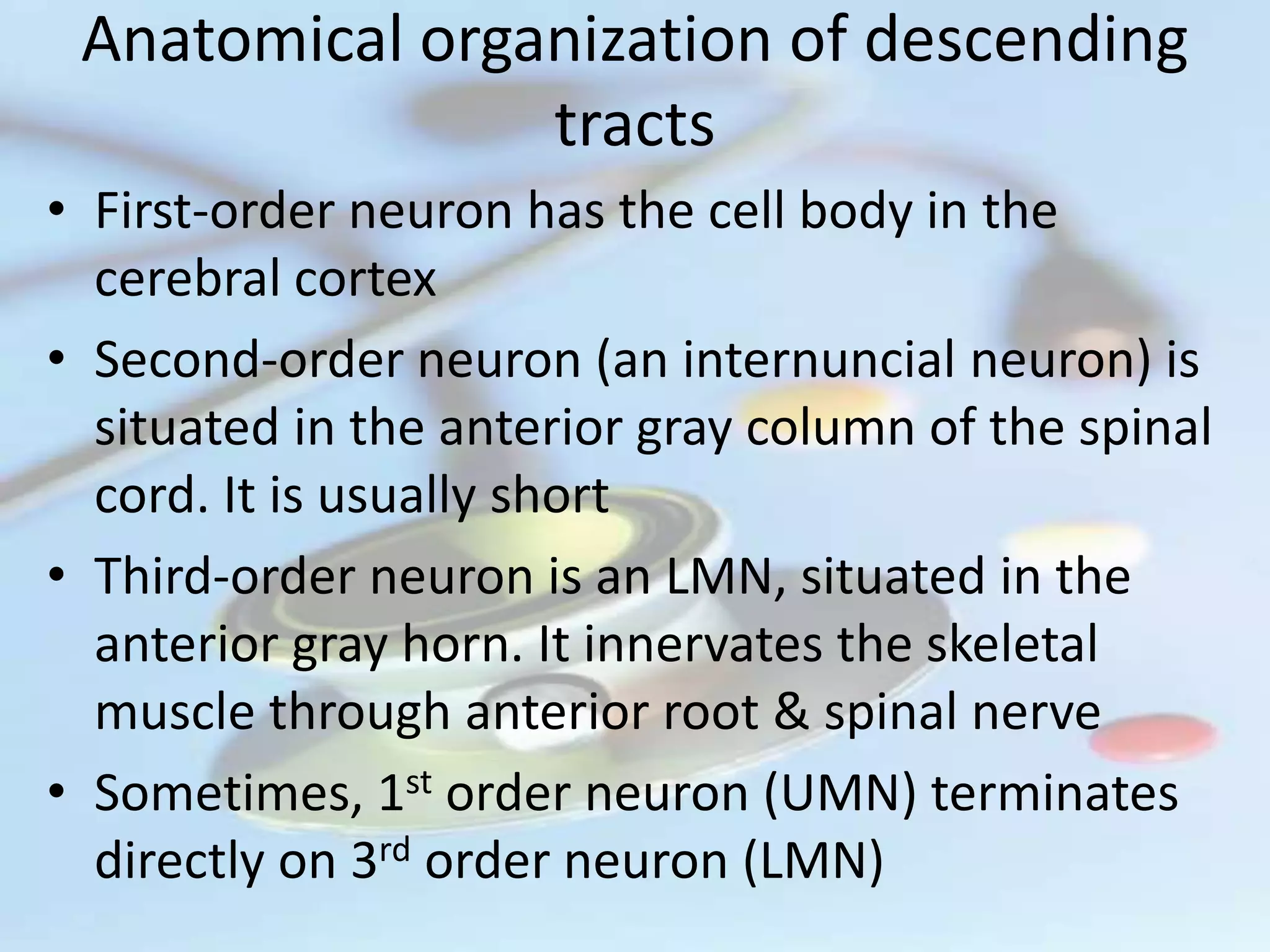 Spinal cord & its tracts II (Descending tracts) | PPTX