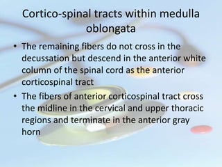 Spinal cord & its tracts II (Descending tracts) | PPTX