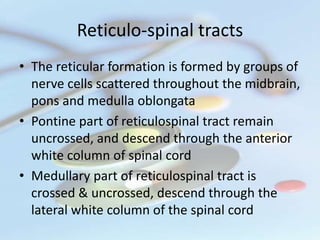 Spinal cord & its tracts II (Descending tracts) | PPTX