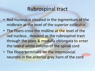 Spinal cord & its tracts II (Descending tracts) | PPTX