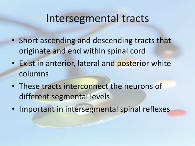 Spinal cord & its tracts II (Descending tracts) | PPTX
