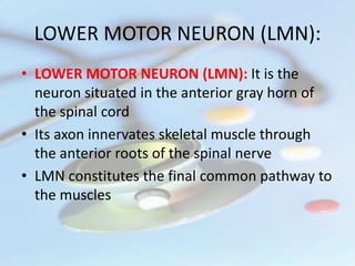 Spinal cord & its tracts II (Descending tracts) | PPTX