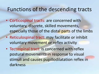 Spinal cord & its tracts II (Descending tracts) | PPTX