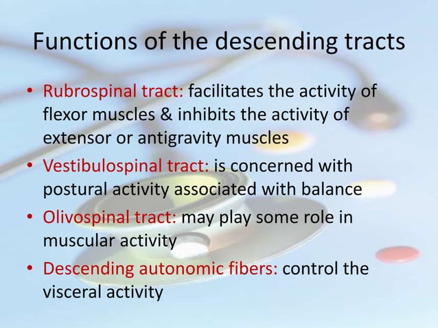 Spinal cord & its tracts II (Descending tracts) | PPTX