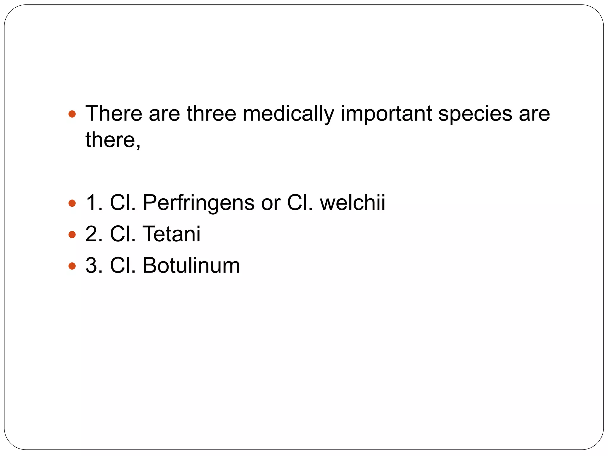 8. clostridium perfri | PPTX