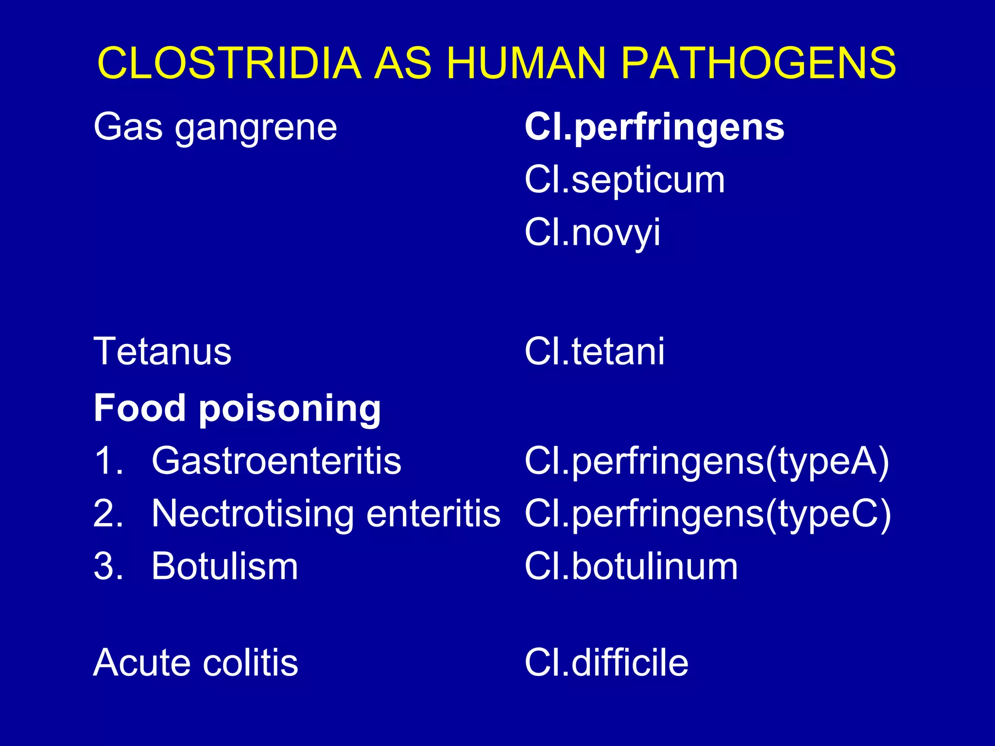 CLOSTRITIUM (clostridia as human pathogens) | PPT