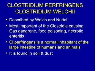 CLOSTRITIUM (clostridia as human pathogens) | PPT