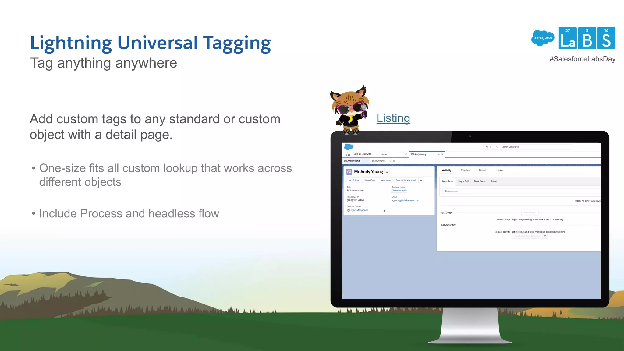 Fremont Salesforce Community Group - Salesforce Labs Day - Flow ...