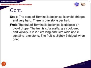 8. terminalia bellerica (barro) | PPT