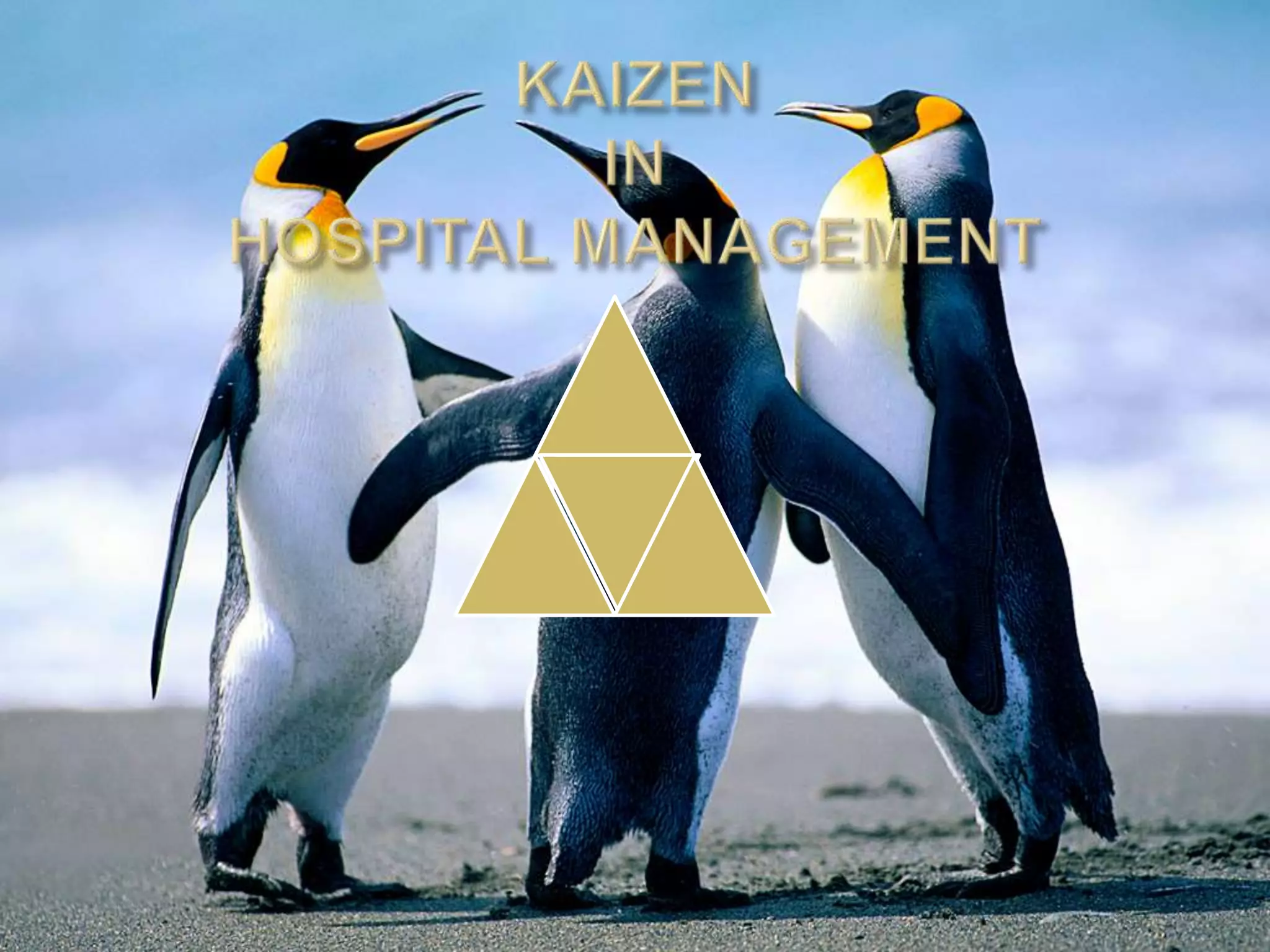 kaizen IN Health sectors | PPTX