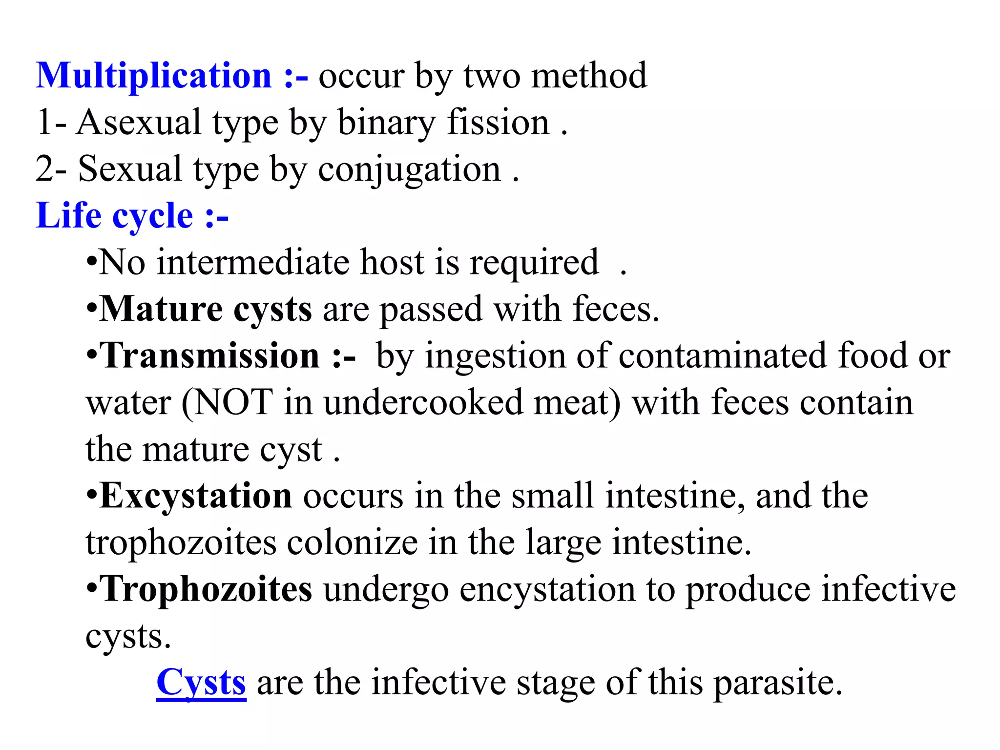 8. balantidium coli | PPT