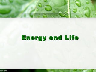 8-1 energy and life | PPT