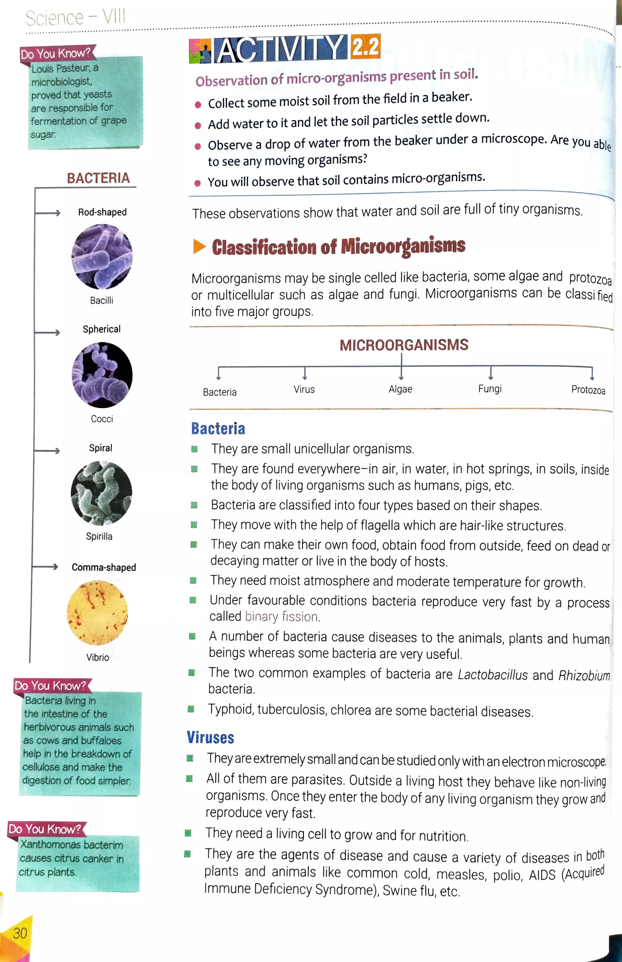 Microorganisms: Friend and Foe | PDF