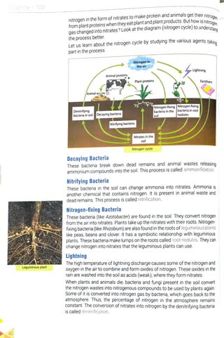 Microorganisms: Friend and Foe | PDF