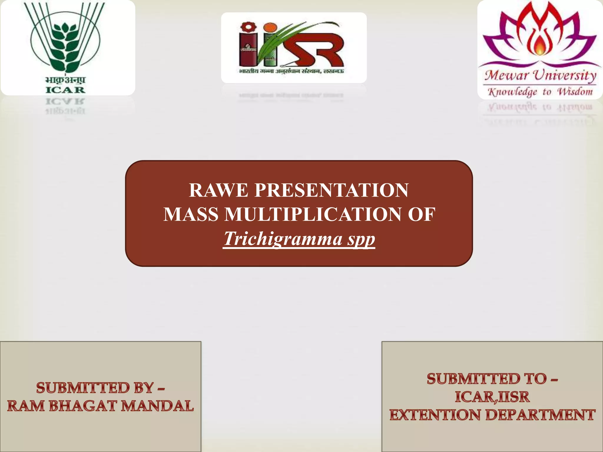 8.mass multiplication trichogramma rambhagat | PPTX